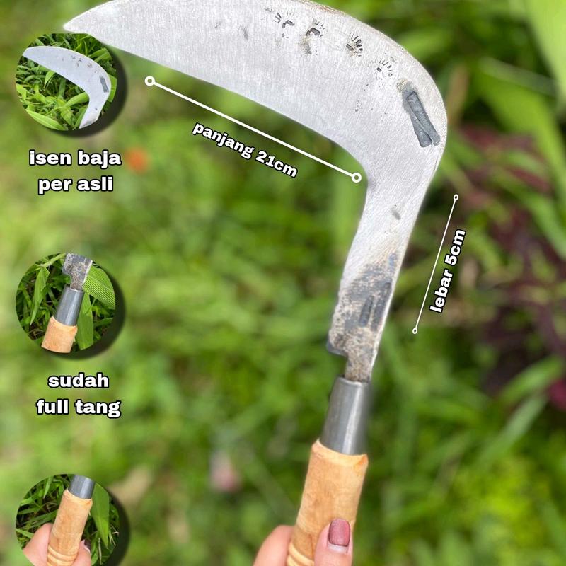 Arit baja pemotong rumput/pemotong padi manual tradisional alat - Shop ...