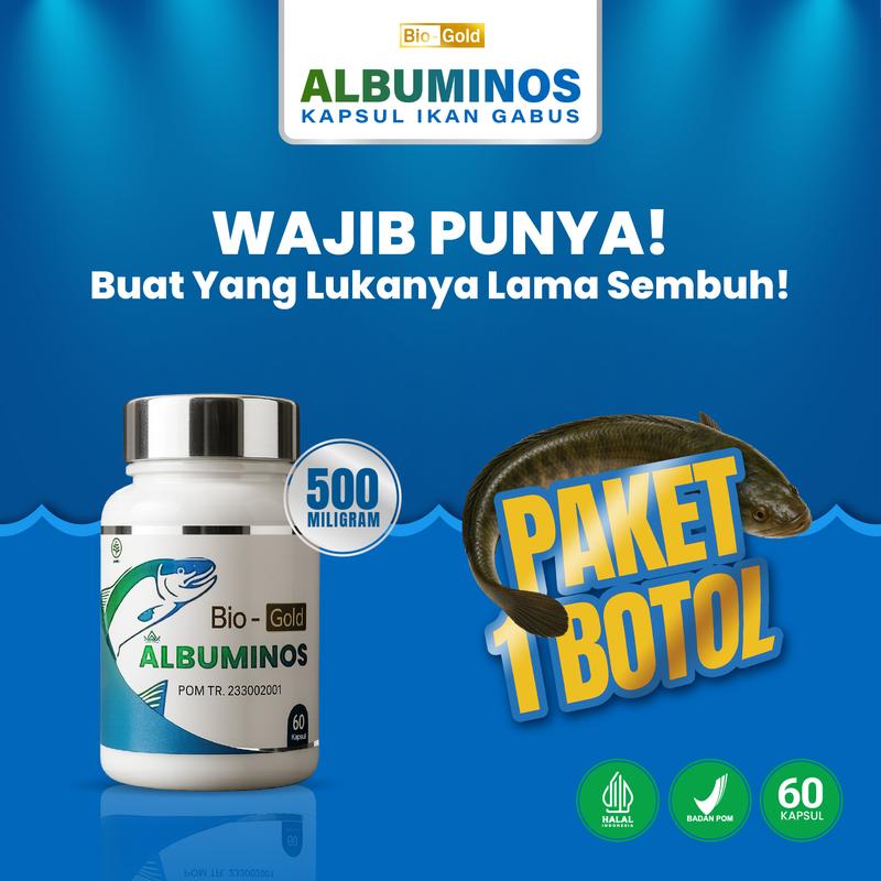 Kapsul Albuminos Ekstrak Ikan Gabus Sari Kutuk Untuk Percepat ...