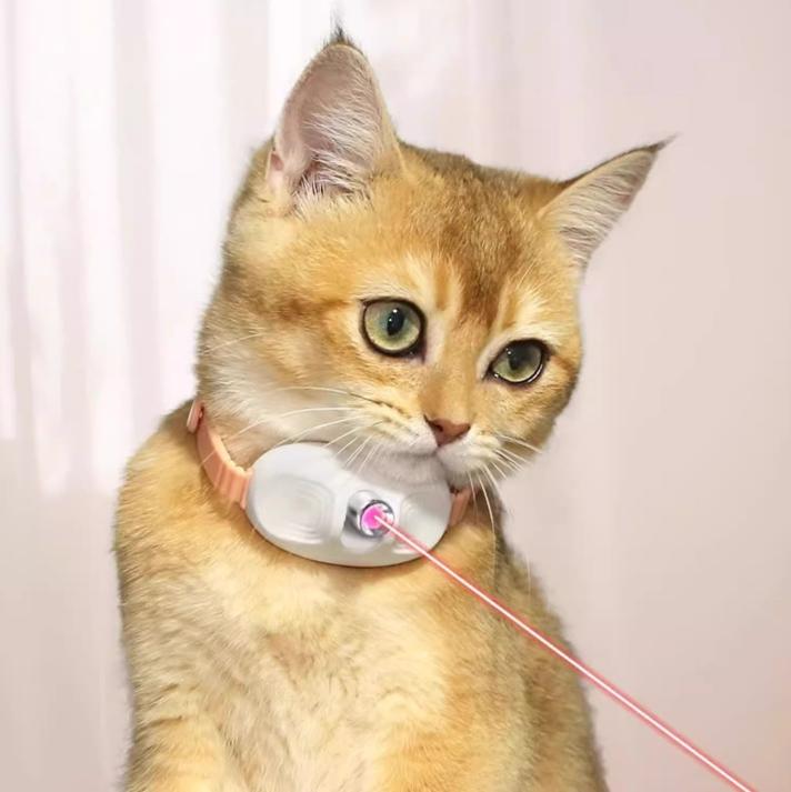 Laser cat teasing collar, pet supplies, self entertaining toys ...