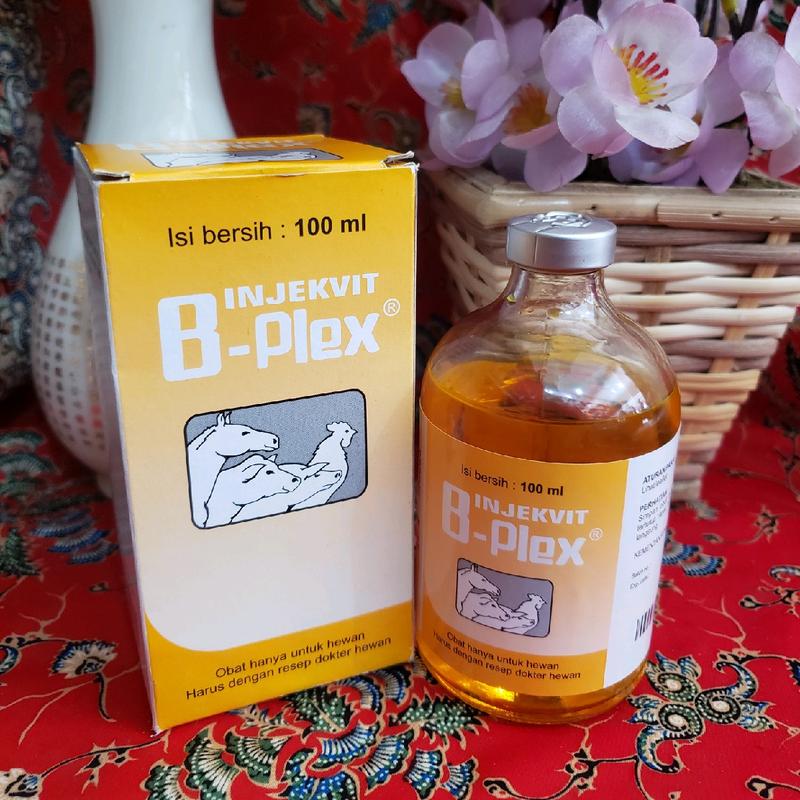 INJEKVIT B-PLEX (100 ml) mencegah kekurangan vitamin B pada unggas ...