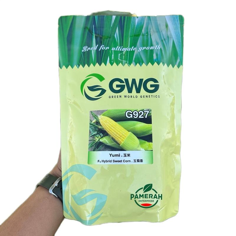 BENIH YUMI 927 SWEET CORN / JAGUNG MADU GWG Popcorn - TikTok Shop Malaysia