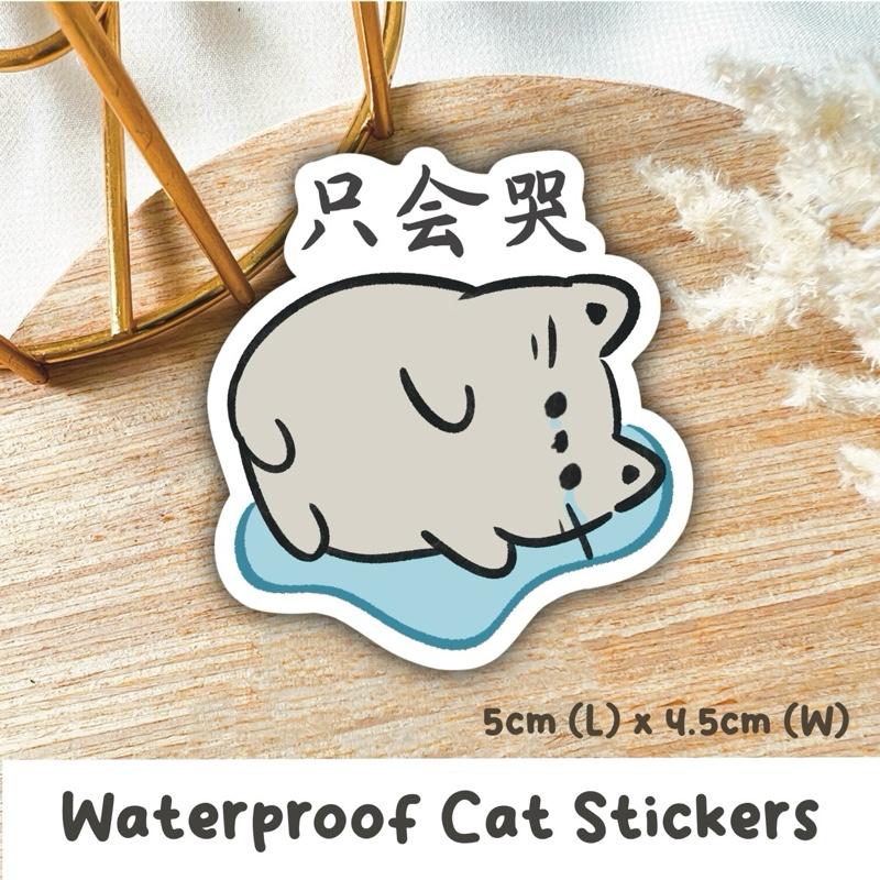 [STICKER] - Zhi Hui Ku (Waterproof) - TikTok Shop Singapore