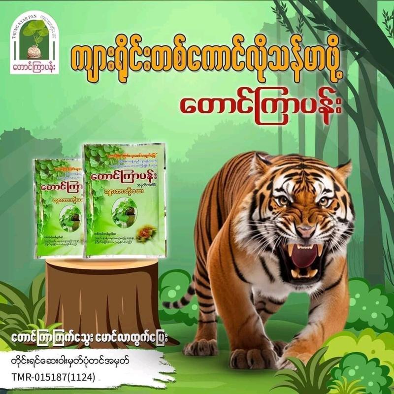 Taung Kyar Pan Coffe body Scrub For all Skin Type - TikTok Shop Malaysia