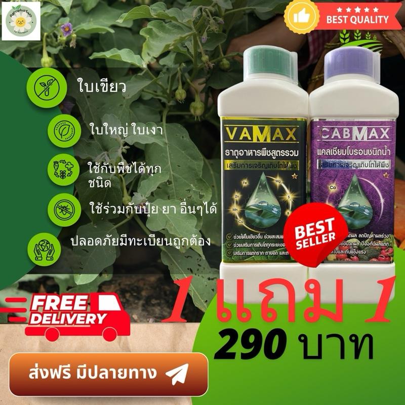 ชุด 1 แถม 1 (ปุ๋ยธาตุรวม VAMAX + CABMAX แคลเซียมโบรอน) ปลอดภัยขึ้น ...