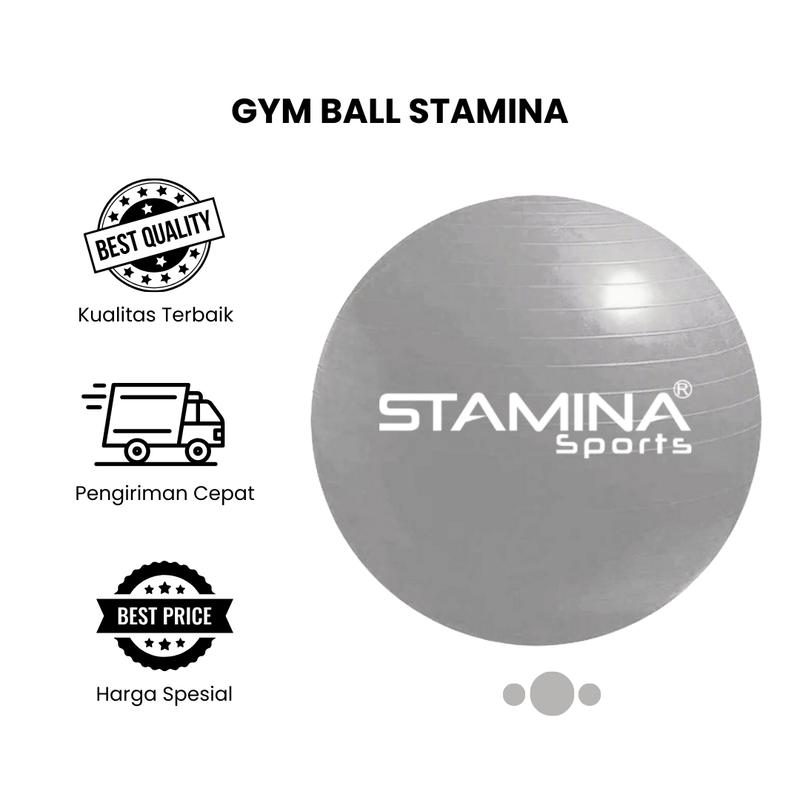 GYM Ball /Yoga Ball - Diameter 55 & 65 High Quality STAMINA SPORTS ...