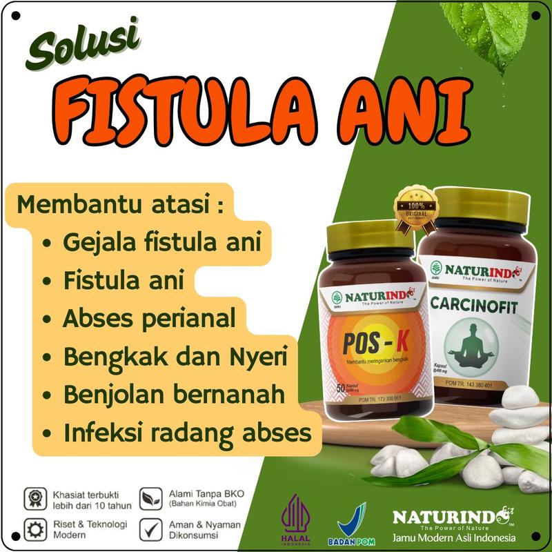 Herbal Fistula Ani Infeksi Radang Abses Perianal Bisul Nanah BPOM 50 ...