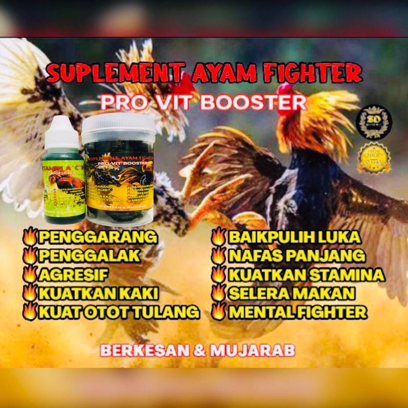Satu set majon + multivitamin ayam fighter - TikTok Shop Malaysia