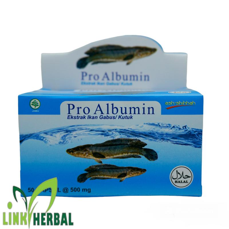 Kapsul Pro Albumin Ash Shihhah Ekstrak Ikan Gabus - 50 Kapsul @500mg ...