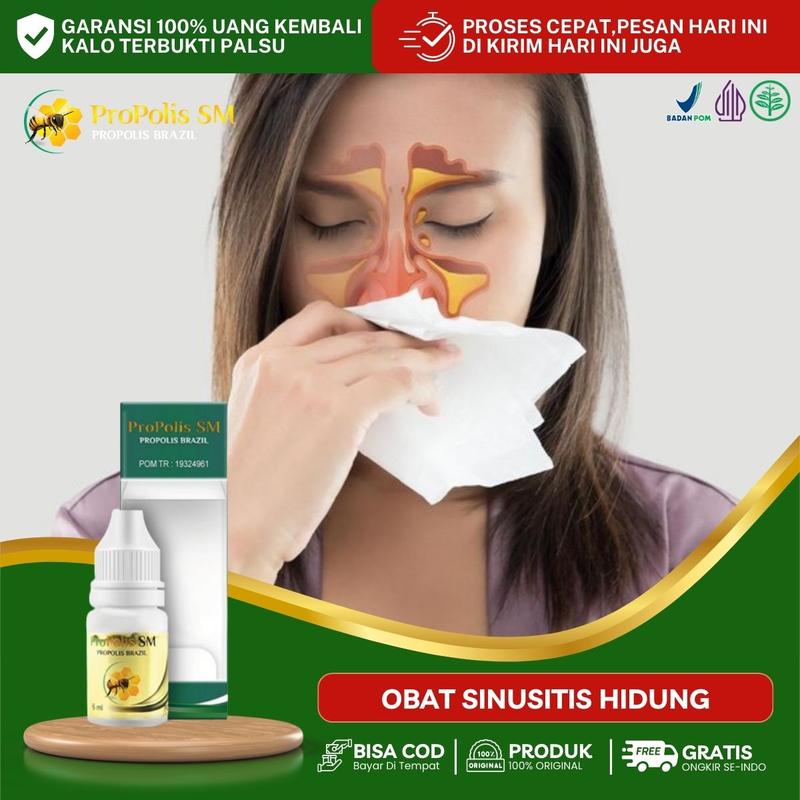 Sinusitis Hidung, Flu, Pilek Menahun, Ingus Bau, Bersin Bersin, - Shop ...