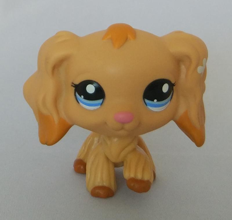 Littlest Pet Shop cocker spaniel dog #1716 LPS kid toy - TikTok Shop ...