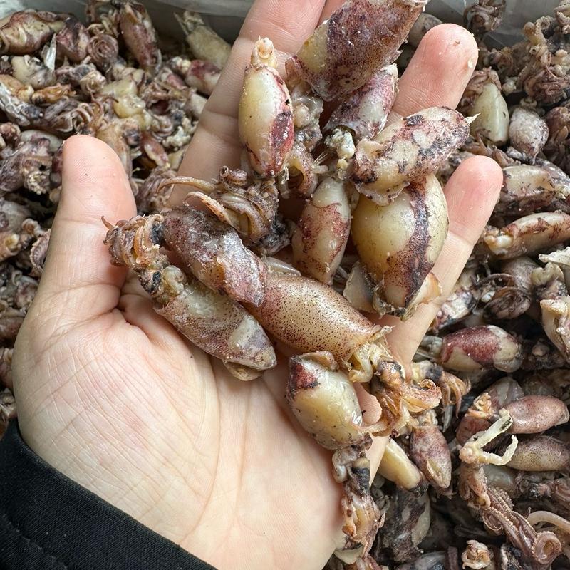 [KECIK]Sotong Cumi S to M (small to medium) dried food - TikTok Shop ...