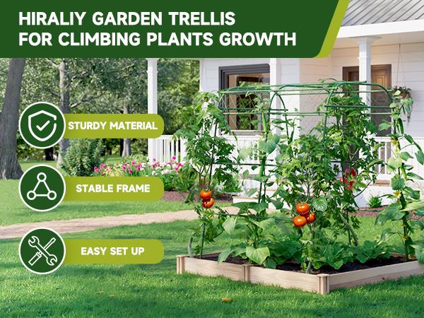 HIRALIY Garden Arch Trellis for Climbing Plants - Premium Drip ...