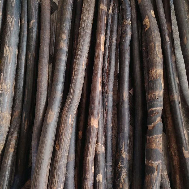 LELONG KAYU SULUR BERTAM ASLI HUTAN (PROMOSI) - TikTok Shop Malaysia