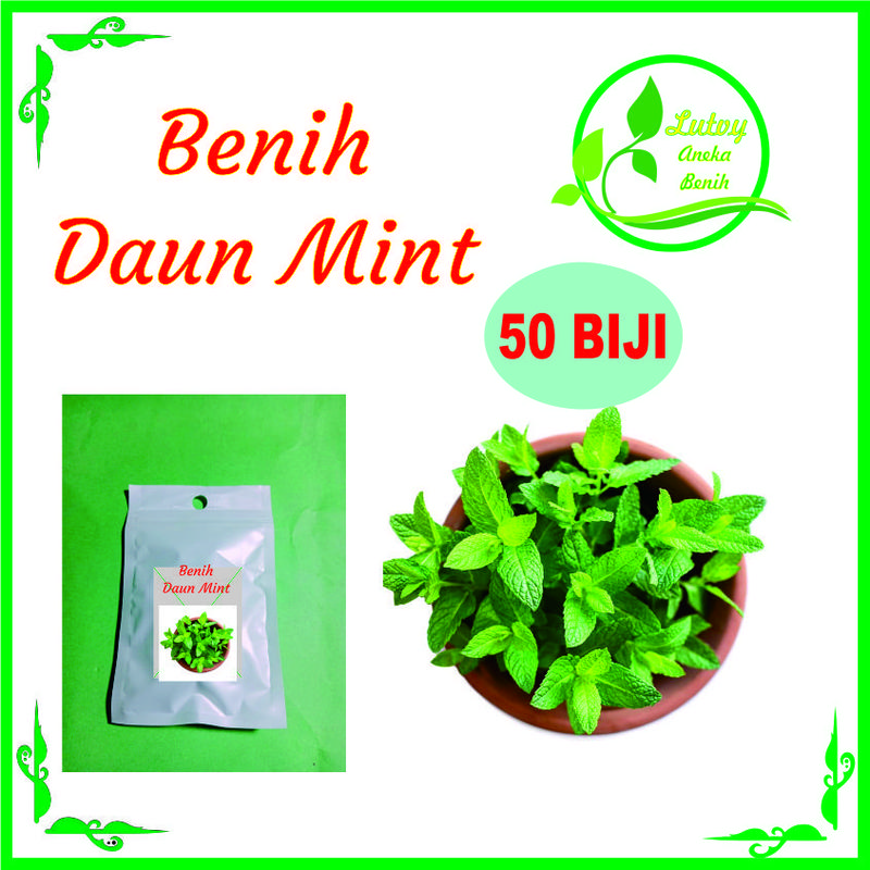 BENIH DAUN MINT ISI 50 BIJI - Shop | Tokopedia