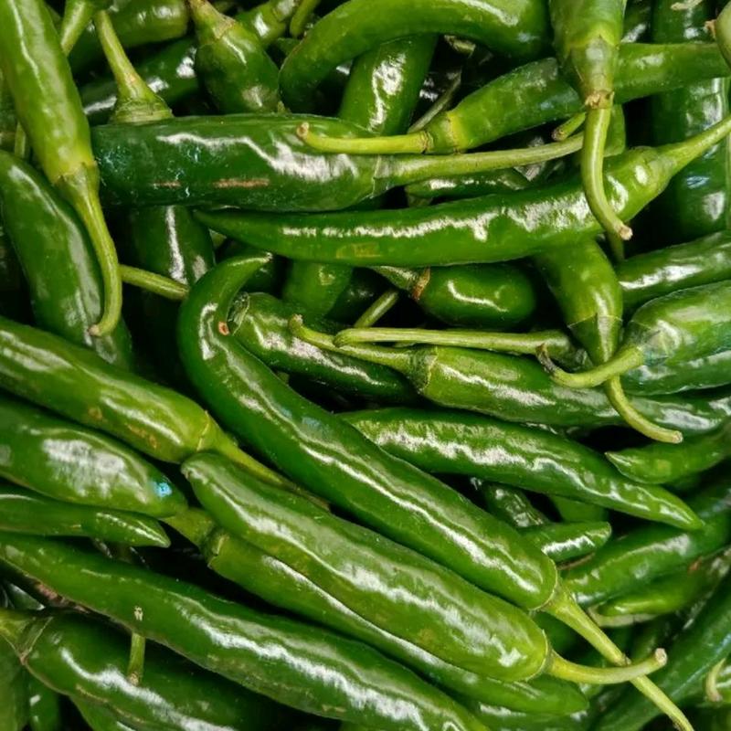 Cabe Ijo Besar Fresh 1 kg / Cabai ijo jumbo - Shop | Tokopedia