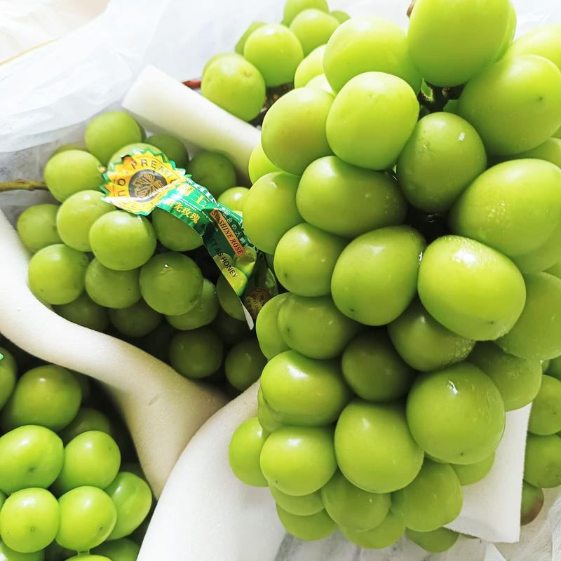 ANGGUR MUSCAT 1 KG KRES MUANIS TANPA BIJI,,PILIHAN ANGGUR PREMIUM ...