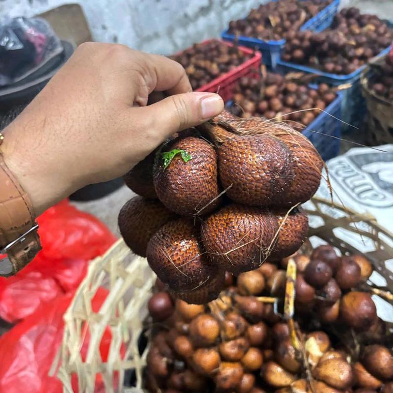salak gula pasir manis renyah gula pasir - Shop | Tokopedia