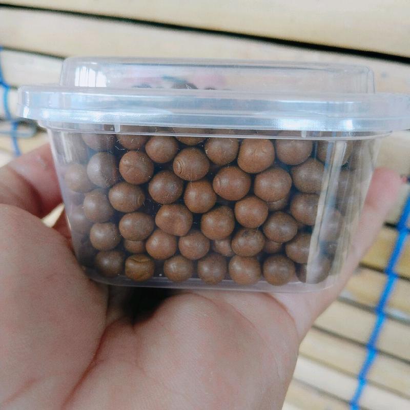 Pil pinang muda/pinang anum kemasan 100gram - Shop | Tokopedia