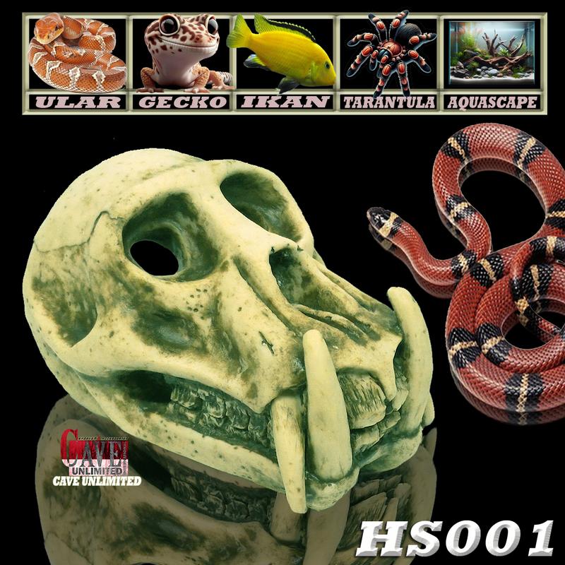 HS001 HIDING SKULL TULANG TENGKORAK BABON FOSIL MONYET MONKE - Shop ...