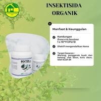 Promo Pupuk Beauveria bassiana Insektisida Hayati Atasi Hama Tanaman ...