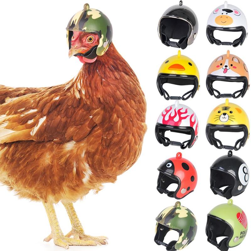 Funny Chicken Helmet Small Pet Hard Hat Bird Quail Pigeon Protective ...