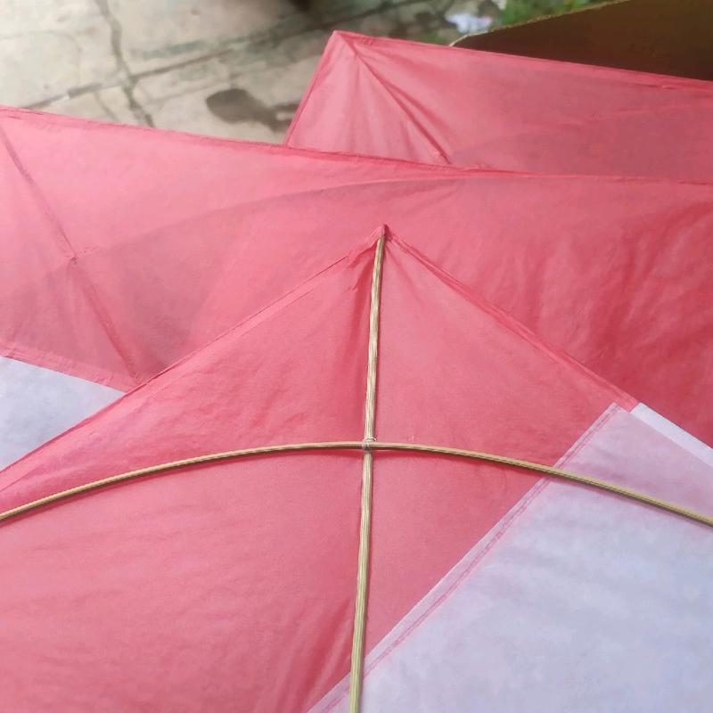 (50pcs) Layangan Sukhoi Standar MERAH PUTIH (Daily us Only) - Shop ...