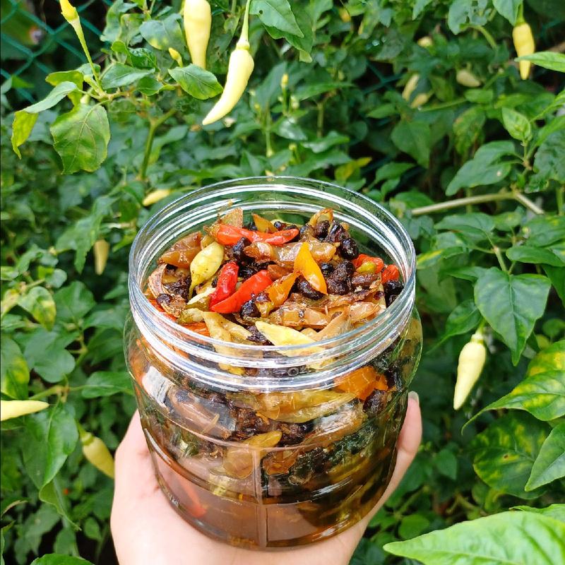 HOMEMADE IKAN TAUSI SABAH - TikTok Shop Malaysia