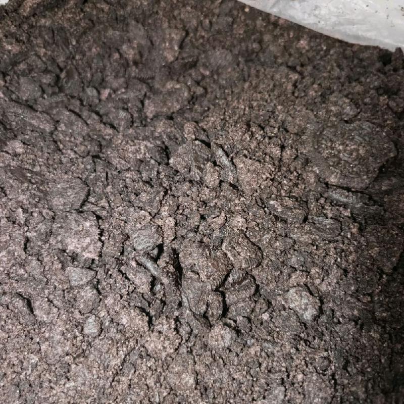 Biskuit Crumb Kasar Tambahan Topping 1kg Cookies Makanan Kering Snacks ...