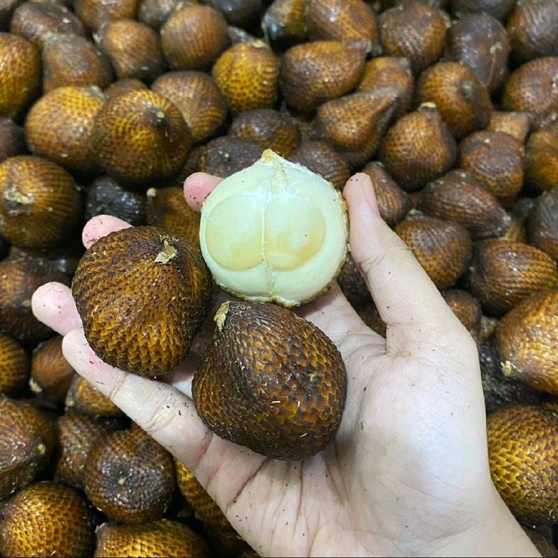 Buah salak gula pasir manis garing dan fresh 1 kg - Shop | Tokopedia