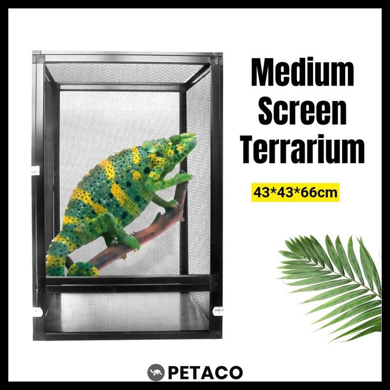 Nomoy Pet Reptile screen terrarium MEDIUM chameleon cage reptile ...