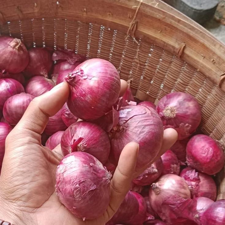 Bawang merah INDIA berat 1kg untuk bumbu dapur - Shop | Tokopedia
