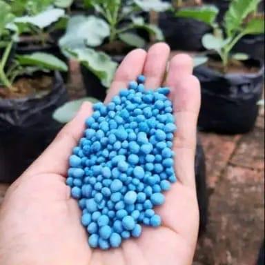 Pupuk NPK 16-16-16 100gram - Nutrisi - Shop | Tokopedia