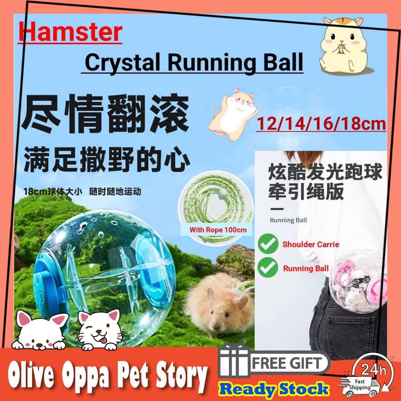 2 in 1 Hamster Exercise ball hamster wheel rolling ball Hamster ...