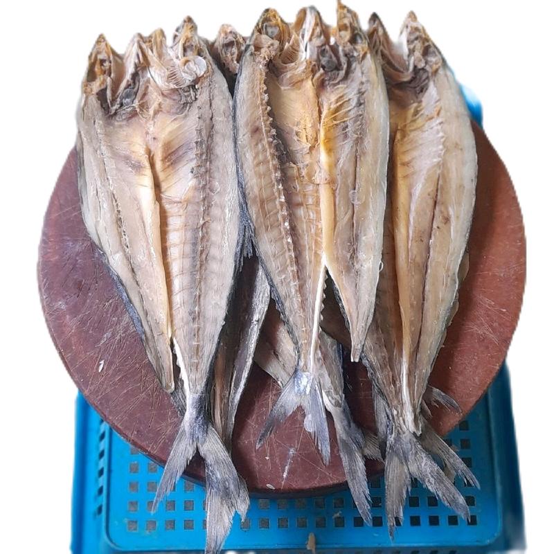 Ikan Talang Padi Segar 200g, 500g, 1kg( dried l Food - TikTok Shop Malaysia