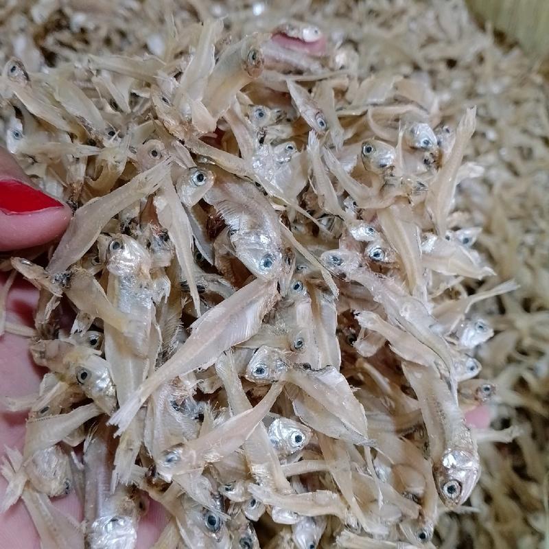 ikan teri bunga tawar khas sumatera utara - Shop | Tokopedia