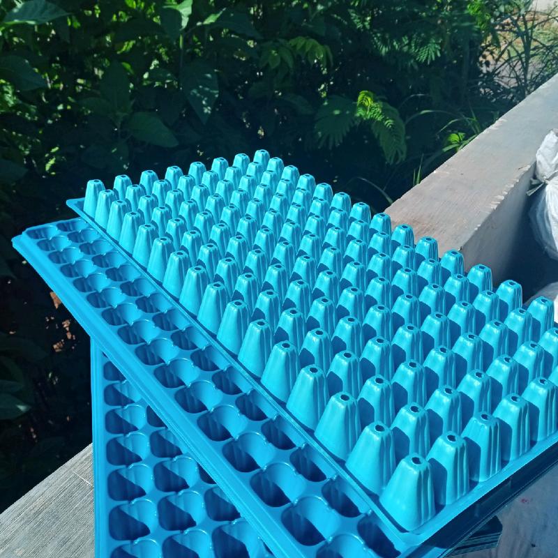 Tray Semai Biru Lubang Bahan Super Premium Tebal - Shop | Tokopedia