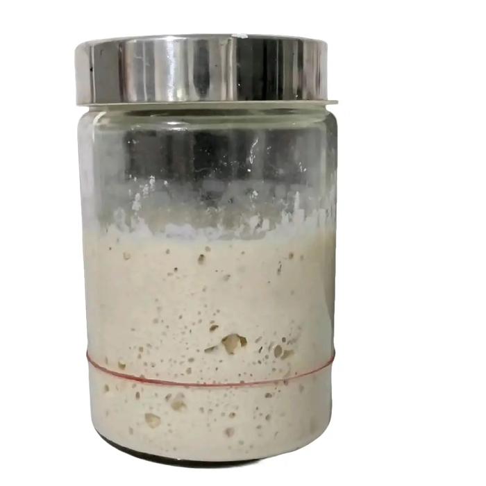 Jual Sourdough Starter/ wild yeast/ ragi alami untuk roti sourdough ...