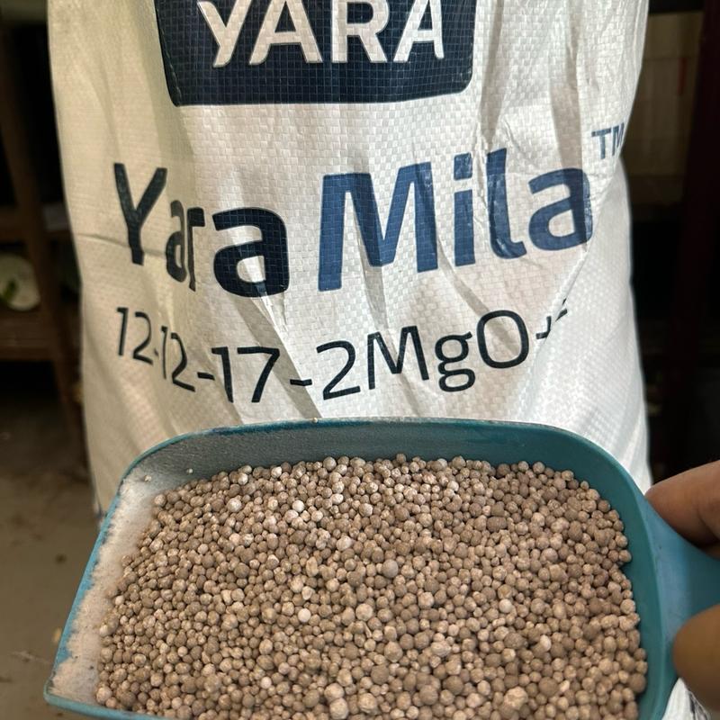 1kg Baja NPK biru YaraMila 12-12-17-2MgO+TE - TikTok Shop Malaysia