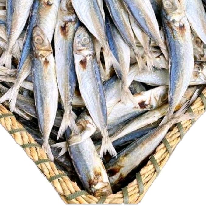 Dried fish Galunggong Tuyo form bicol Vacuum sealed 100g 250g - TikTok ...