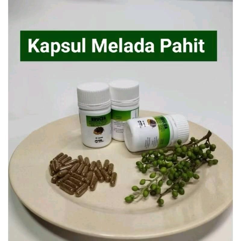 Melada Pahit, Lada Pahit , organik - TikTok Shop Malaysia