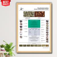 Jual Poster Kopi Green Coffee Defect SCA Frame Kayu A2 – Klasifikasi ...