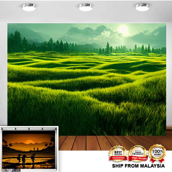 Banner Decoration / Backdrop - Rice Field / Padi Sawah / Paddy - TikTok ...