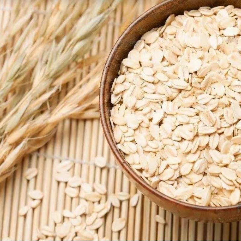 Australian Rolled/ Quick Oats 250g/ 500g/ 1kg/ Bijirin Oat (2628 ...