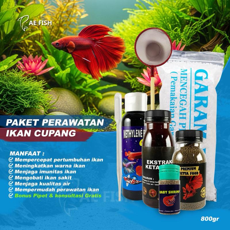 Paket perawatan ikan cupang lengkap untuk pertumbuhan dan mutasi - Shop ...