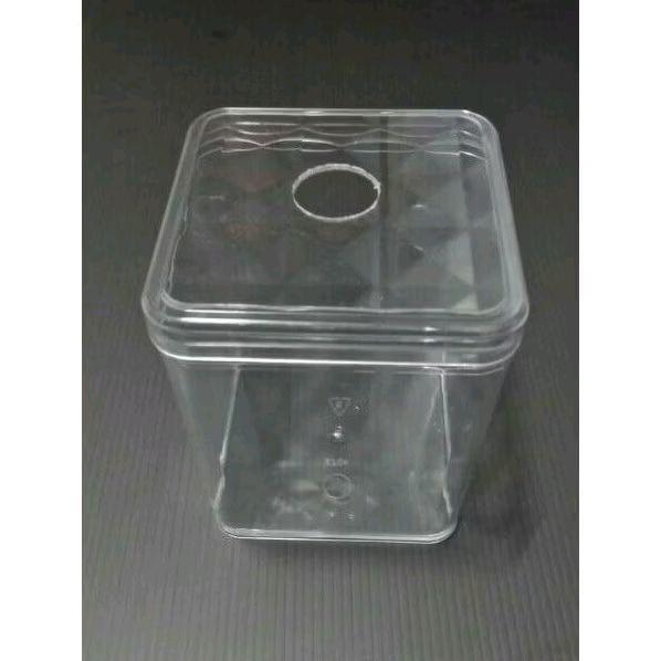 BETTA TANK/BEKAS IKAN LAGA BERLUBANG UDARA - TikTok Shop Malaysia