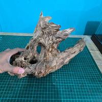 Jual Kayu Rentek Hardscape Aquarium Aquascape kayu rentek size M,L,XL ...