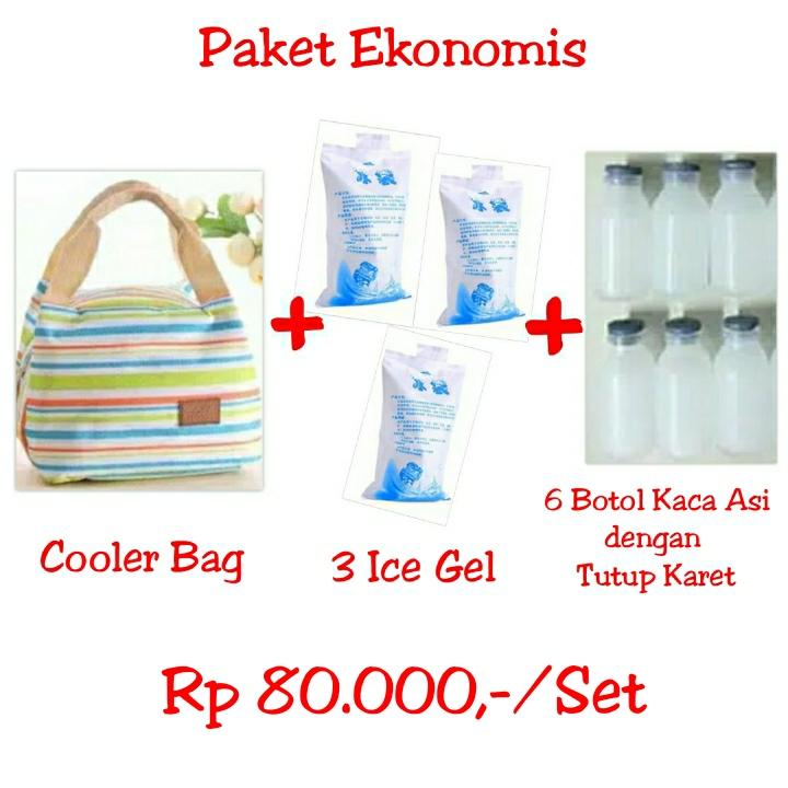Paket Tas Penyimpanan Asi Perah Cooler Bag Ice Gel Pack Boto - Shop ...