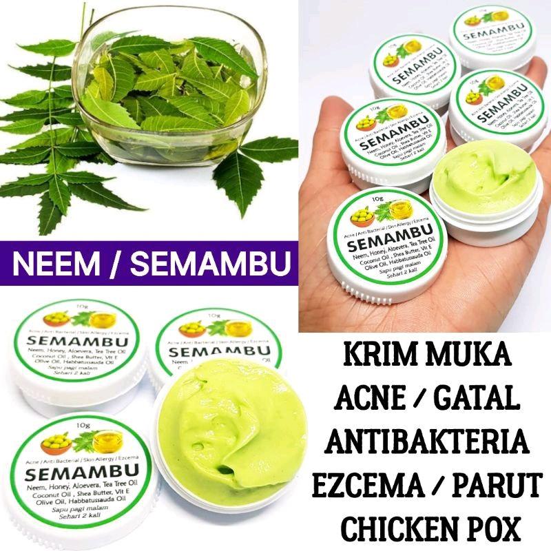 Krim Muka Semambu 10g/ Neem Face Cream/ Utk Masalh Jerwat/ Acne ...