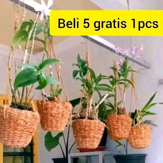 Paket 6 Pot Gantung Anyaman Tanaman Hias Serabut Kelapa Bung - Shop ...