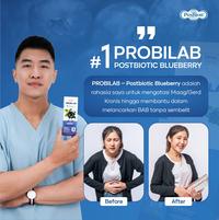Promo PROBILAB Blueberry - Minuman 3 Biotik Atasi GERD, Maag, Alergi ...